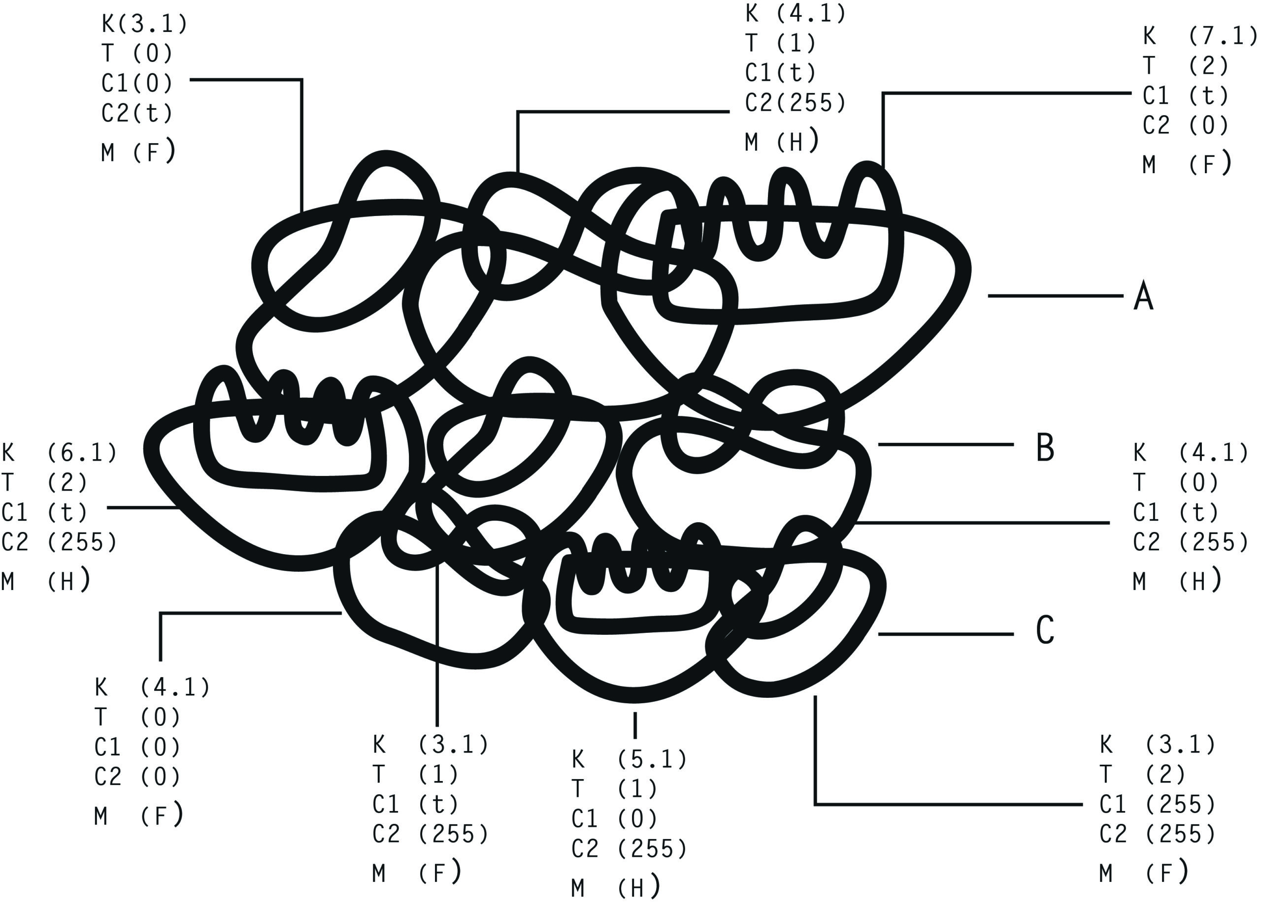 Codes in Knots. Sensing Digital Memories – The Whole Life